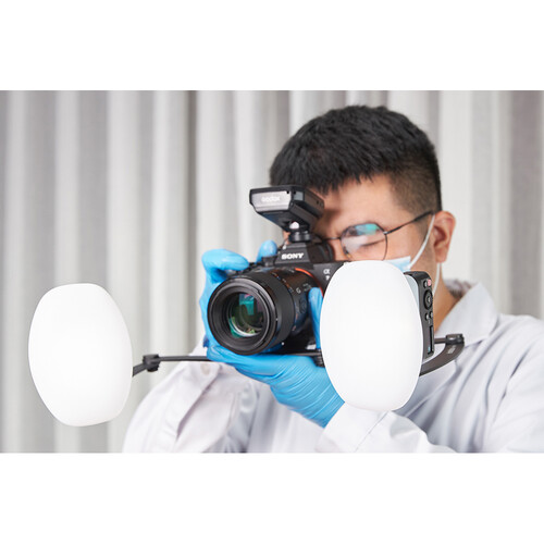 Godox MF12 Dental Macro Flash Kit for Sony Cameras – Curven Store